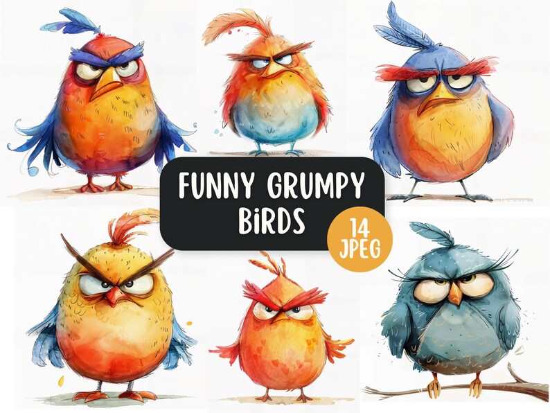 Funny Grumpy Birds 14 JPEG Clipart Bundle | Commercial Use | Card ...