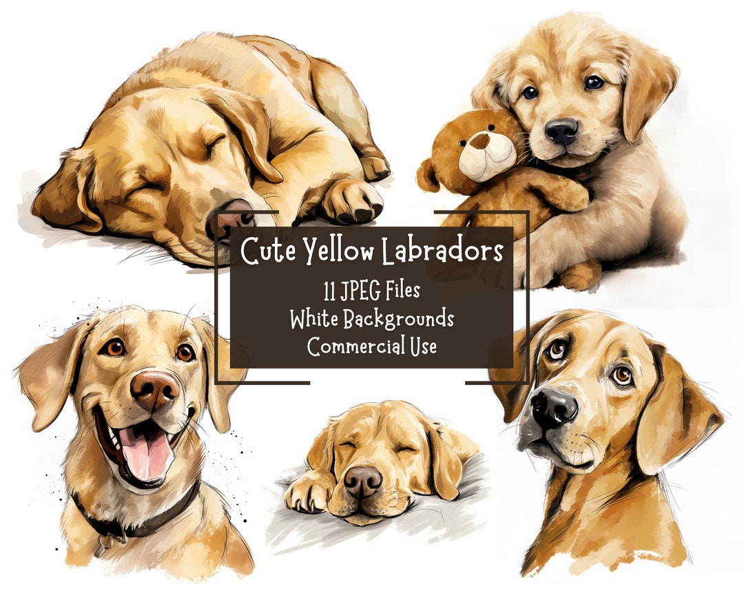 Cute Yellow Labrador Dog Clipart Bundle | 11 High Quality JPEG ...