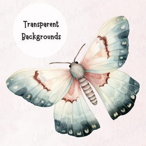 Pastel Moth PNG Clipart Graphics | Bundle of 15 Watercolour Boho Moths ...
