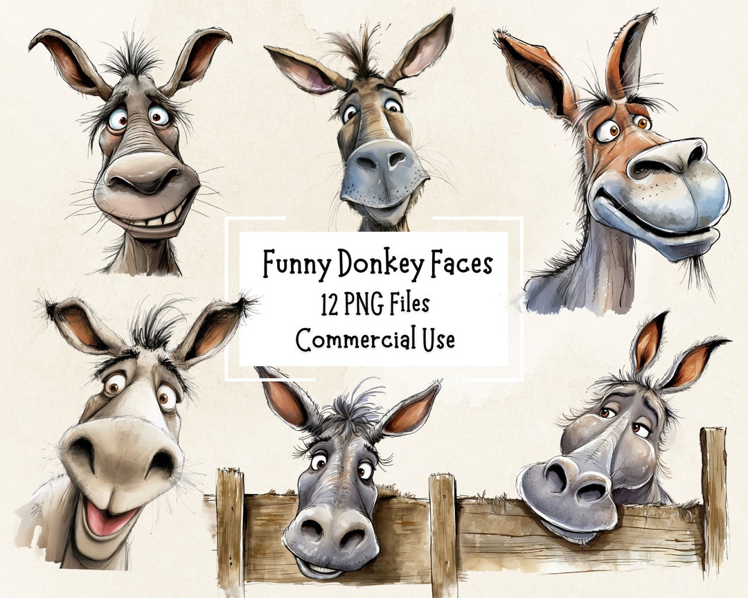 Funny Donkey Faces PNG Clipart Bundle 12 High Quality 300DPI Images Commercial Use Digital ...