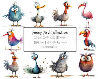 Bird Svg Bundle SVG Files for Cricut Bird Clipart Image - Etsy