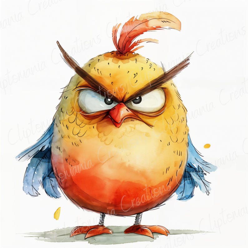 Funny Grumpy Birds 14 JPEG Clipart Bundle | Commercial Use | Card ...