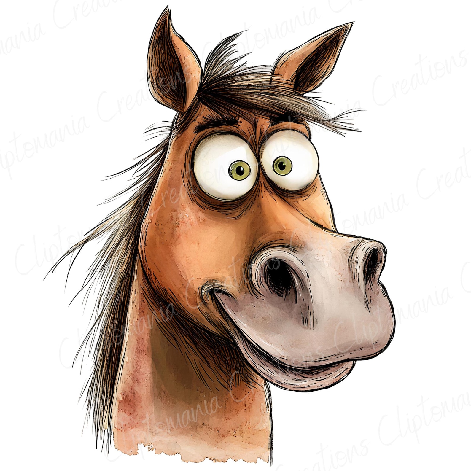 Quirky Horse Faces Clipart Bundle 12 PNG Designs, Commercial Use, Funny ...