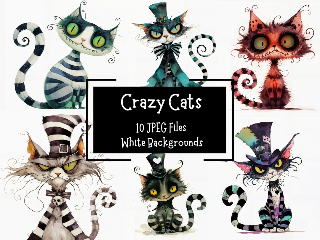 Creepy Crazy Cats Clipart Bundle | 12 JPEG Images | White Backgrounds ...