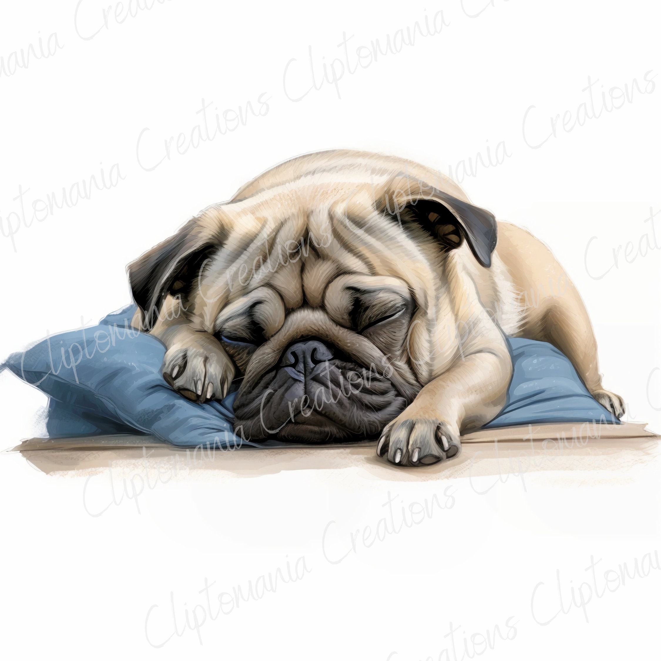 Cute and Funny Pug Dog Clipart Bundle | 12 High Quality 300DPI Images ...