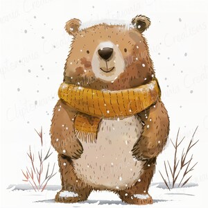 Cute Winter Bear Clipart Bundle | 14 JPEG Designs | White Backgrounds ...