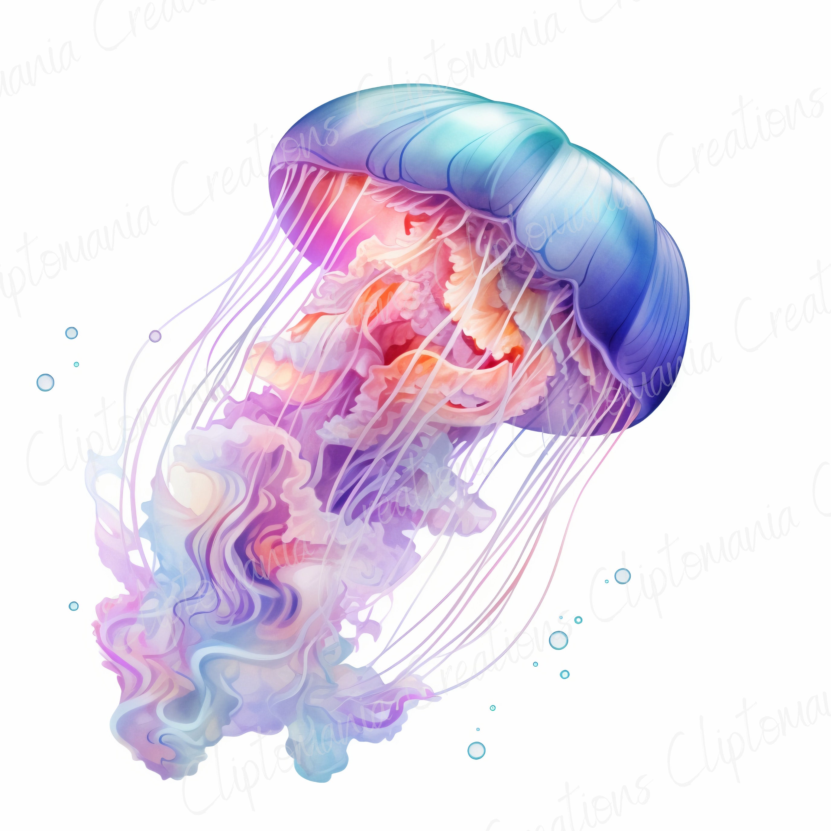 Watercolour Jellyfish Clipart Bundle, 12 JPEG Images, Ocean Clipart ...