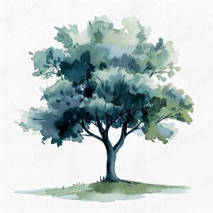 10 Simple Watercolour Trees Clipart Bundle | 300DPI JPEG Images With ...