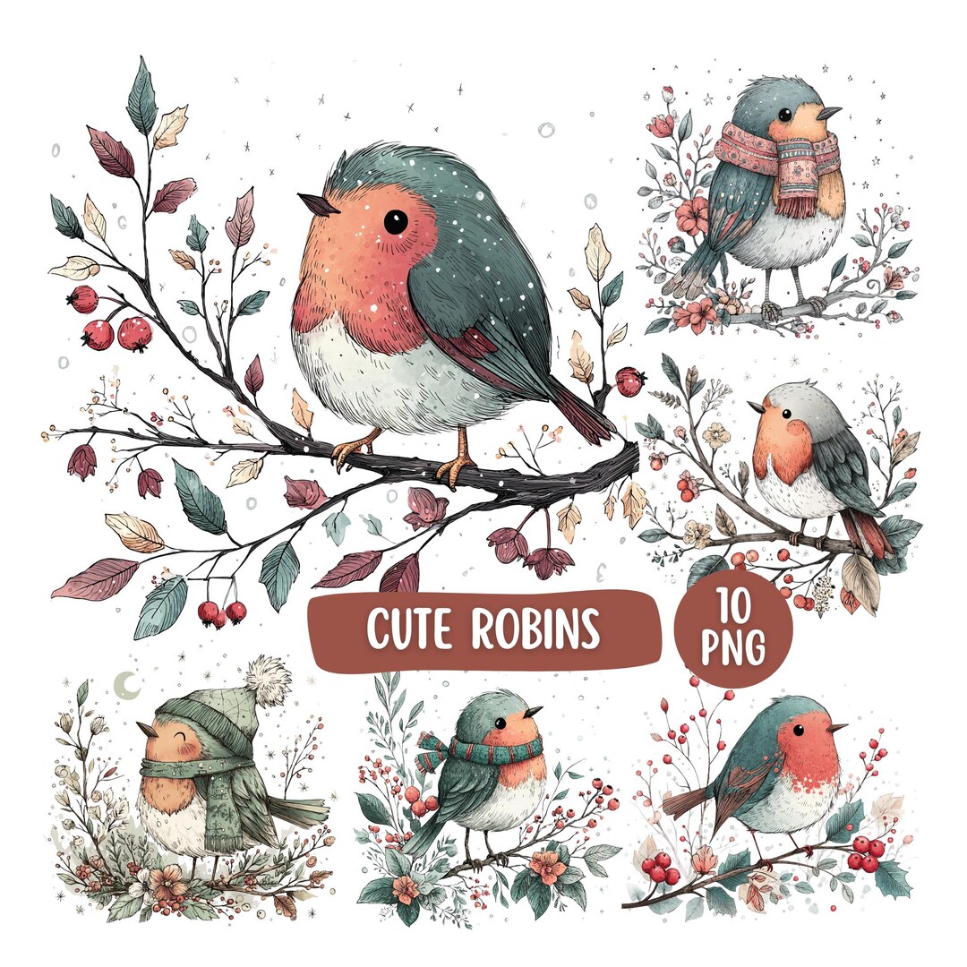 10 PNG Cute Christmas Robin Clipart Bundle, Transparent Backgrounds ...
