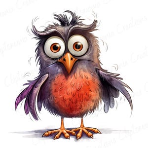 Funny Owl 15 PNG Clipart Bundle | Transparent Backgrounds | Quirky Owls ...
