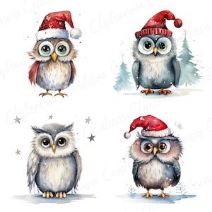 Cute Christmas Owls PNG Clipart Bundle | Transparent Backgrounds ...