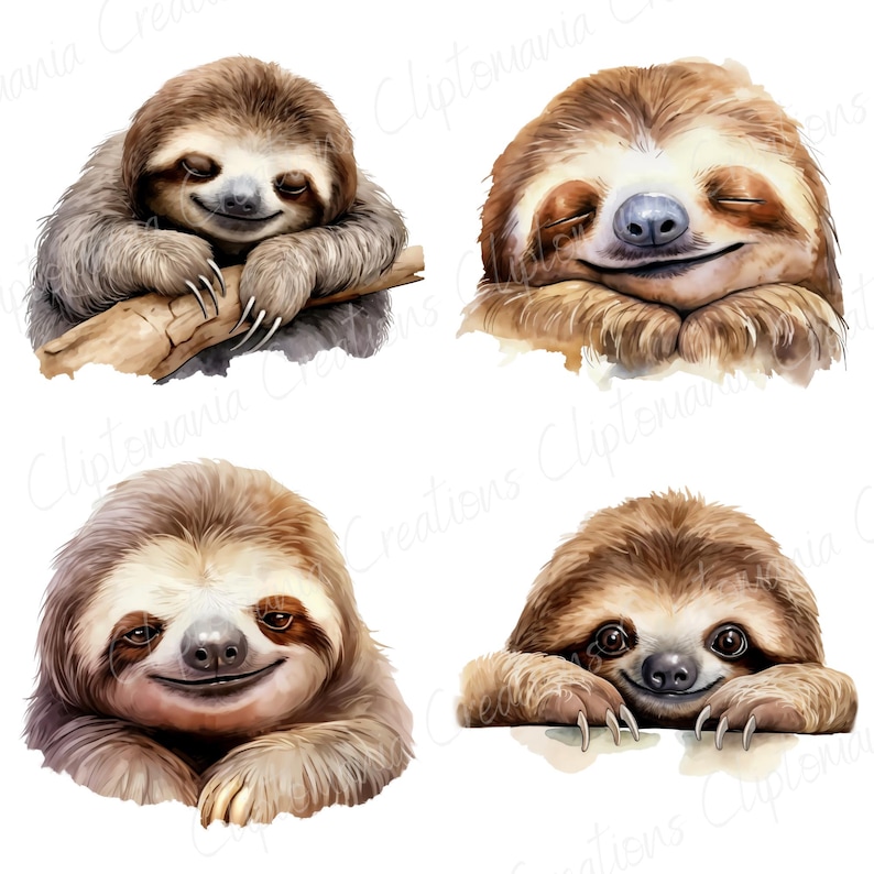Cute Watercolour Sloths PNG Clipart Bundle, Transparent Backgrounds ...