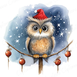 Cute Christmas Owls PNG Clipart Bundle | Transparent Backgrounds ...
