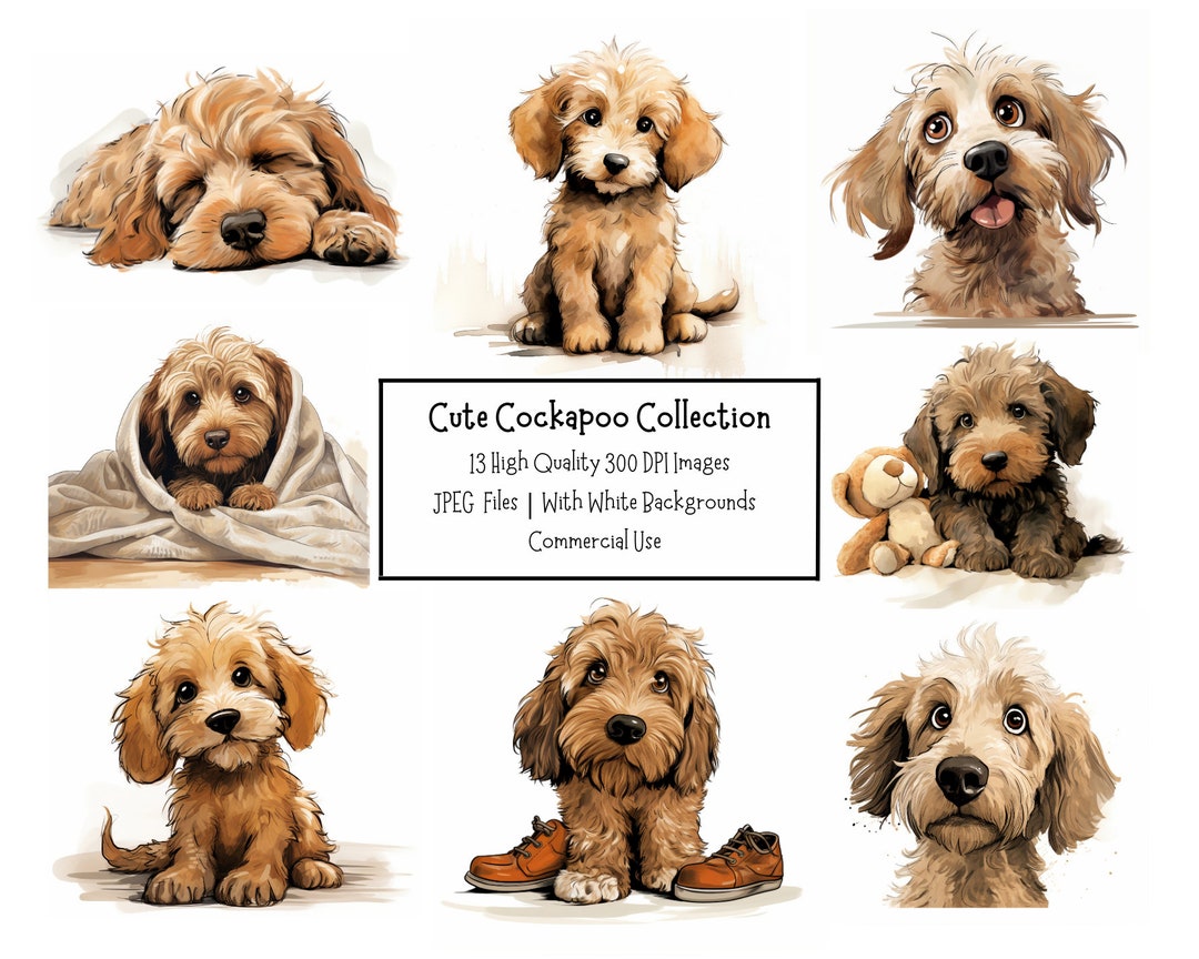Cute Cockapoo Dog Clipart Bundle | 13 High Quality JPEG Illustrations ...