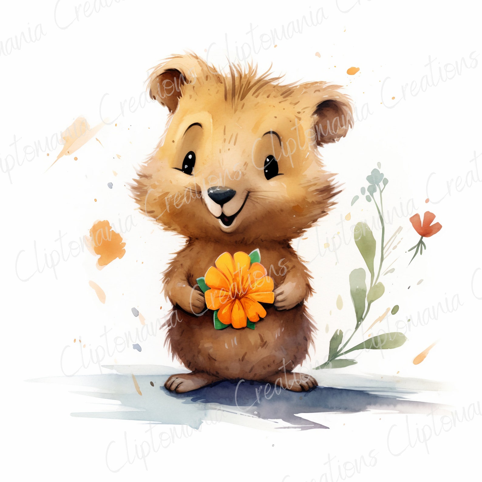 Cute Quokka Clipart Bundle | 10 High Quality 300DPI Images With White ...