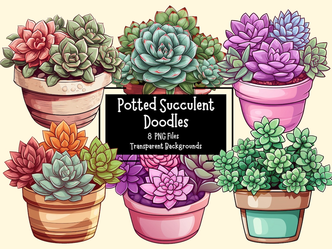 Potted Succulent Doodles 8 PNG Clipart Bundle | Botanical Graphics ...