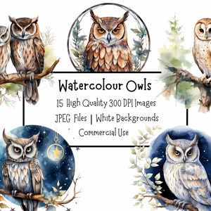 Watercolour Owl Clipart Bundle | 15 High Quality JPEG Images | Forest ...