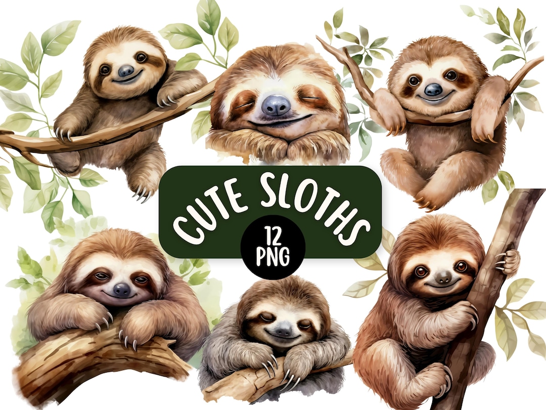 Cute Watercolour Sloths 12 PNG Clipart Bundle | Transparent Backgrounds ...