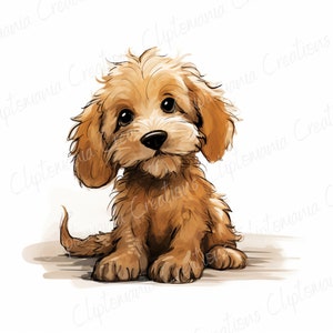 Cute Cockapoo Dog Clipart Bundle | 13 High Quality JPEG Illustrations ...
