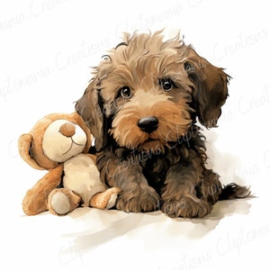 Cute Cockapoo Dog Clipart Bundle | 13 High Quality JPEG Illustrations ...