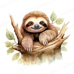 Cute Watercolour Sloths 12 PNG Clipart Bundle | Transparent Backgrounds ...