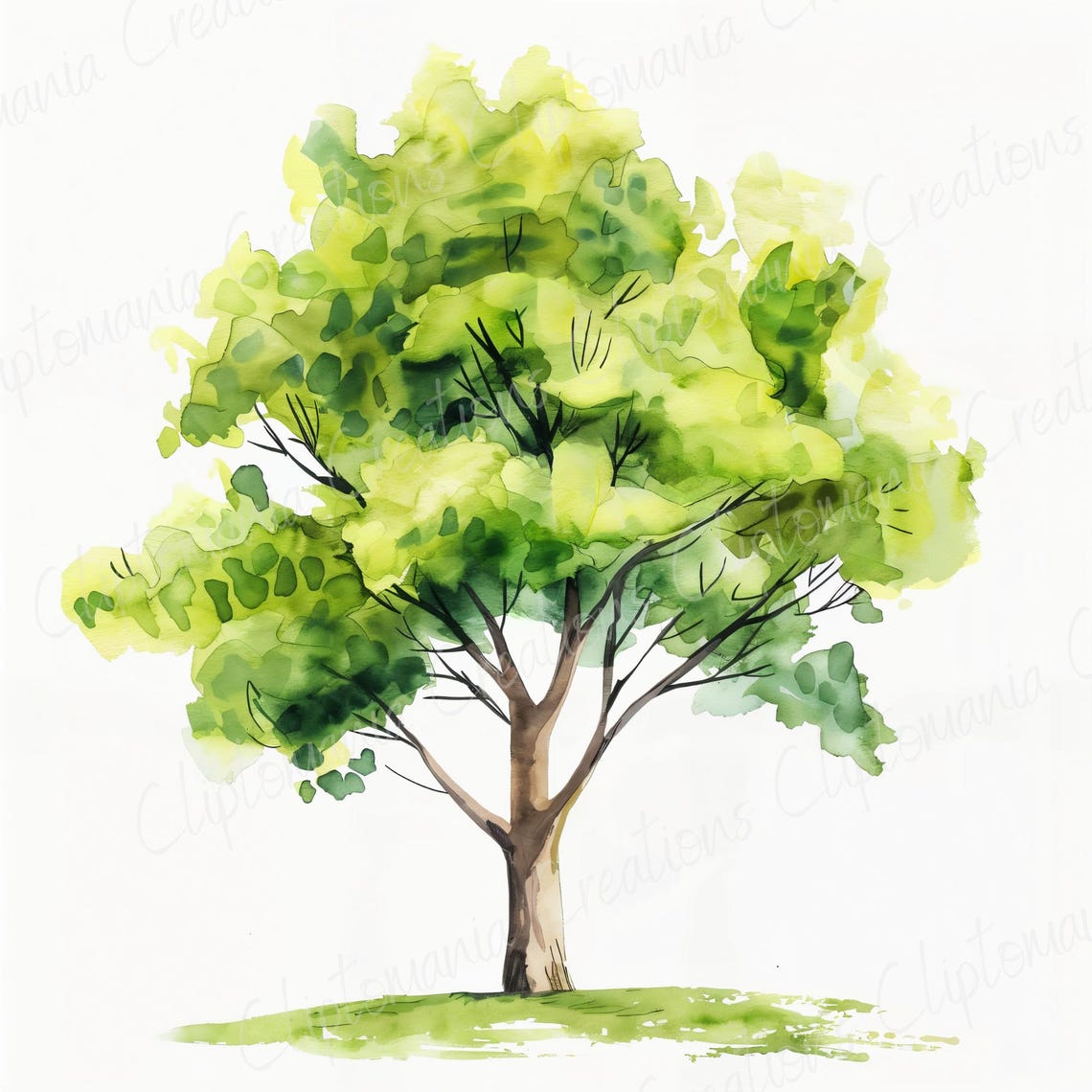 10 Simple Watercolour Trees Clipart Bundle | 300DPI JPEG Images With ...