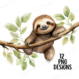 Cute Watercolour Sloths 12 PNG Clipart Bundle | Transparent Backgrounds ...