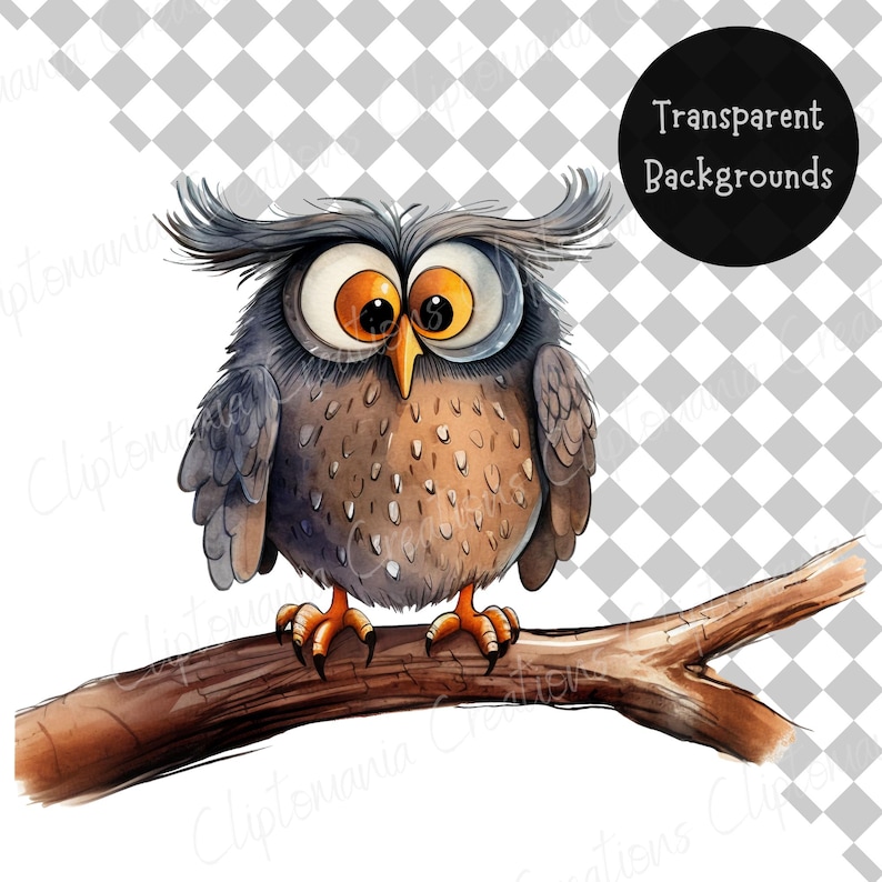 Funny Owl PNG Clipart Bundle, Quirky Owls Graphics, Cute Expressive ...