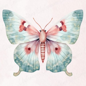 Pastel Moth PNG Clipart Graphics | Bundle of 15 Watercolour Boho Moths ...