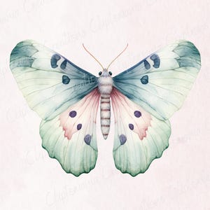 Pastel Moth PNG Clipart Graphics | Bundle of 15 Watercolour Boho Moths ...