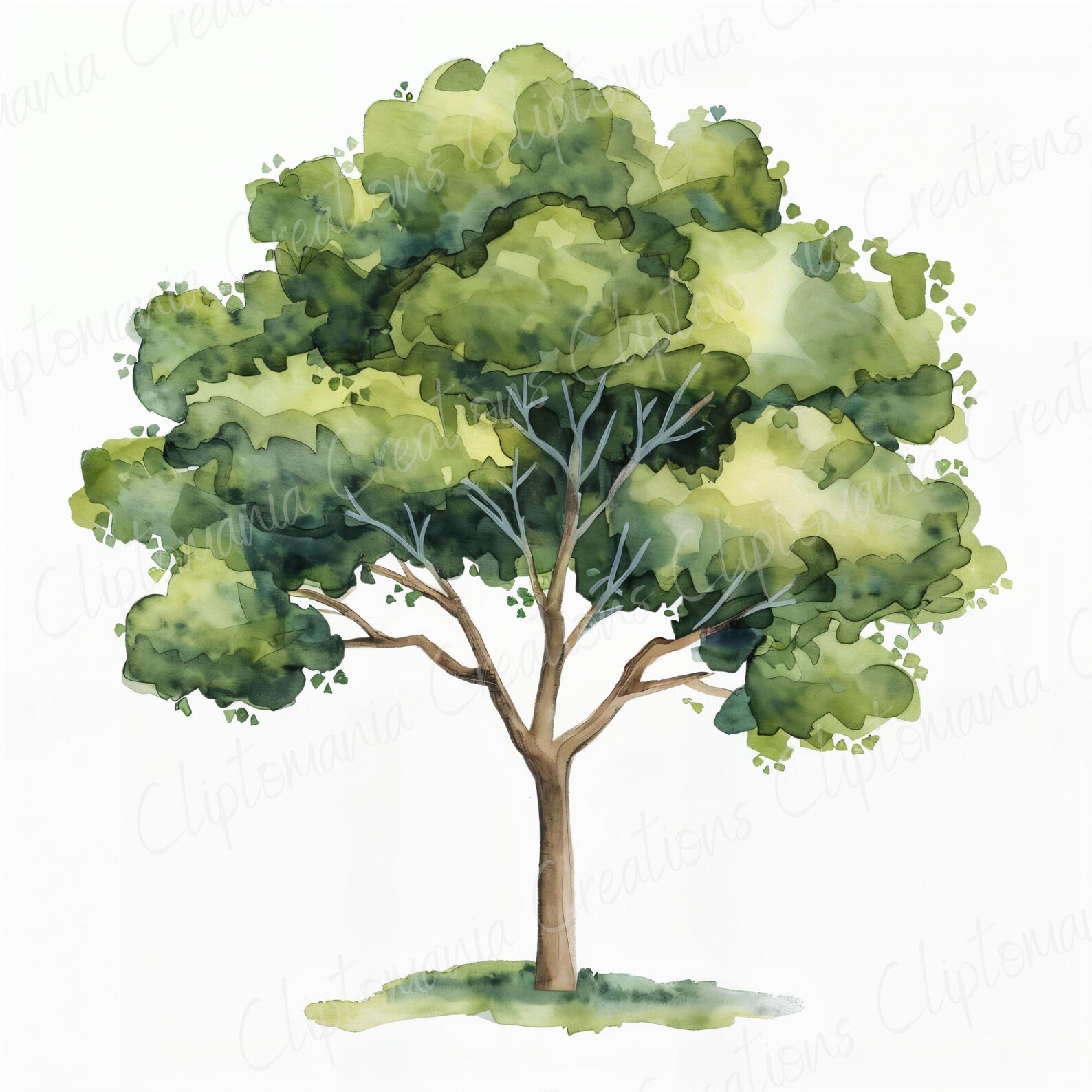 10 Simple Watercolour Trees Clipart Bundle | 300DPI JPEG Images With ...