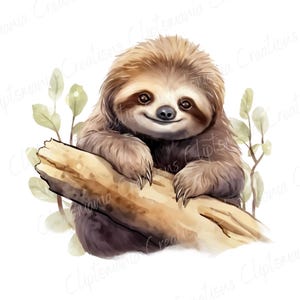 Cute Watercolour Sloths 12 PNG Clipart Bundle | Transparent Backgrounds ...
