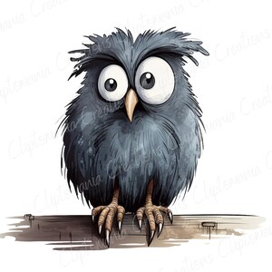 Funny Owl 15 PNG Clipart Bundle | Transparent Backgrounds | Quirky Owls ...