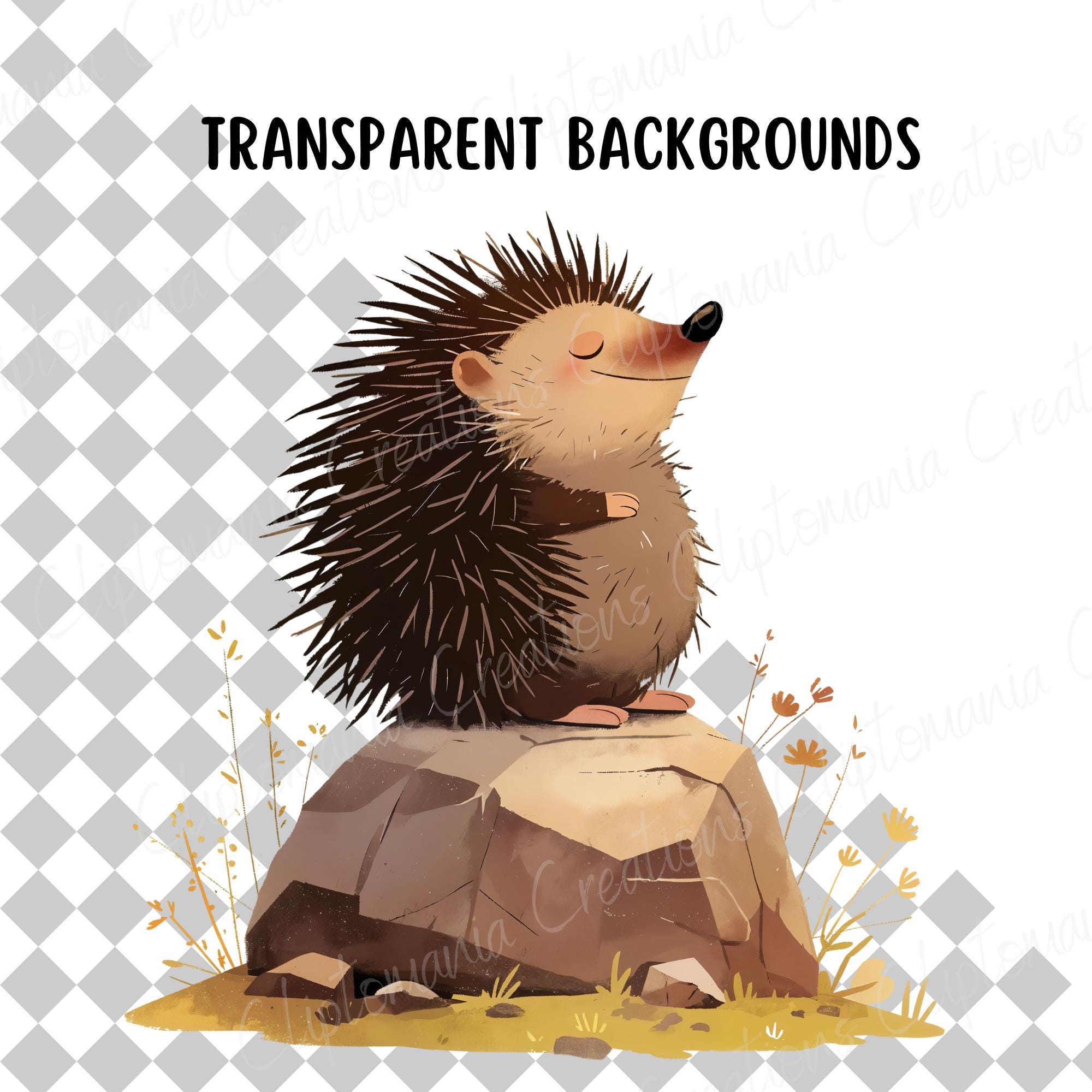Adorable Hedgehog PNG Clipart Bundle, Cute Woodland Animals PNG, Forest ...