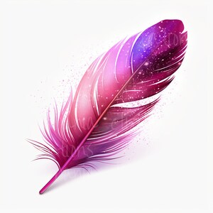 Glitter Feather Clipart | Blue, Purple & Pink Feathers | 12 High ...