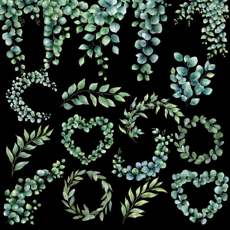 Watercolour Eucalyptus PNG Clipart Bundle | Transparent Backgrounds ...