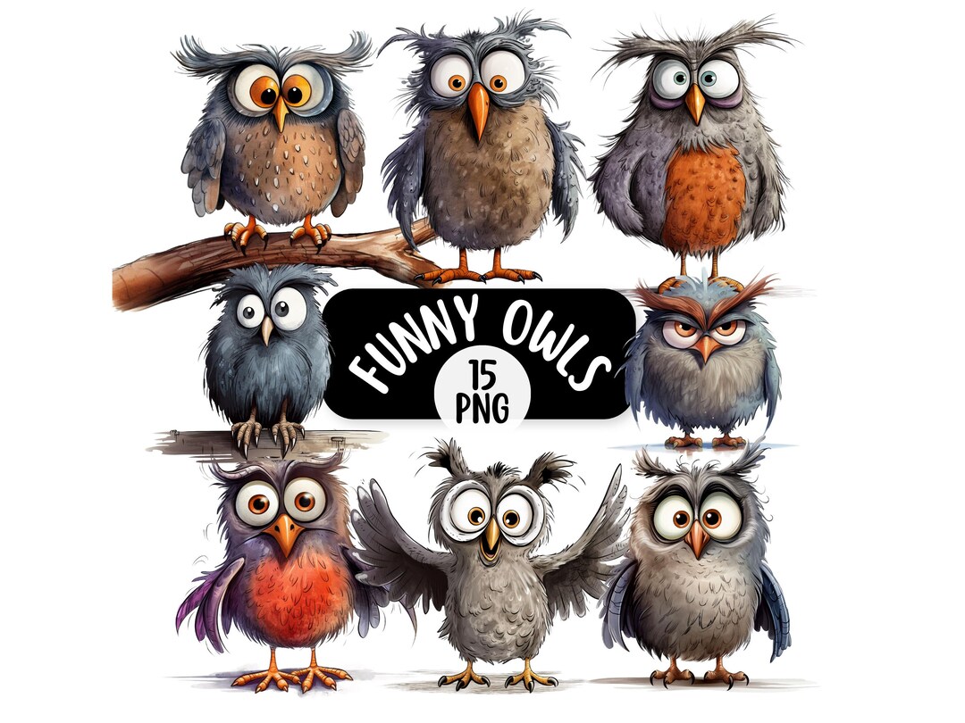 Funny Owl PNG Clipart Bundle, Quirky Owls Graphics, Cute Expressive ...