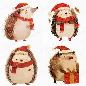 Cute Christmas Hedgehog Clipart Bundle 12 JPEG Designs | Printable ...
