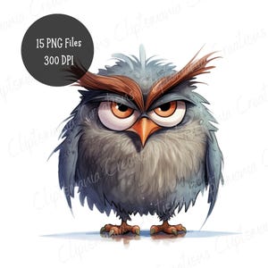 Funny Owl 15 PNG Clipart Bundle | Transparent Backgrounds | Quirky Owls ...