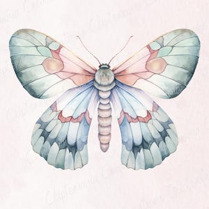 Pastel Moth PNG Clipart Graphics | Bundle of 15 Watercolour Boho Moths ...