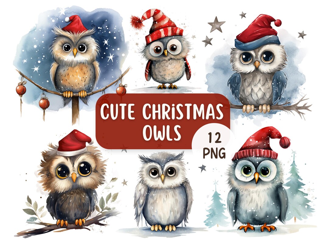 Cute Christmas Owls PNG Clipart Bundle | Transparent Backgrounds ...