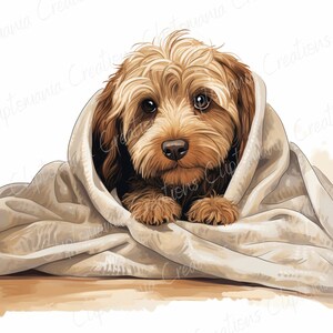 Cute Cockapoo Dog Clipart Bundle | 13 High Quality JPEG Illustrations ...