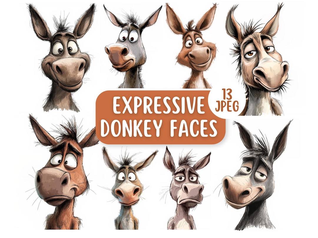Funny Expressive Donkey Faces 13 JPEG Clipart Bundle | Farm Animal ...