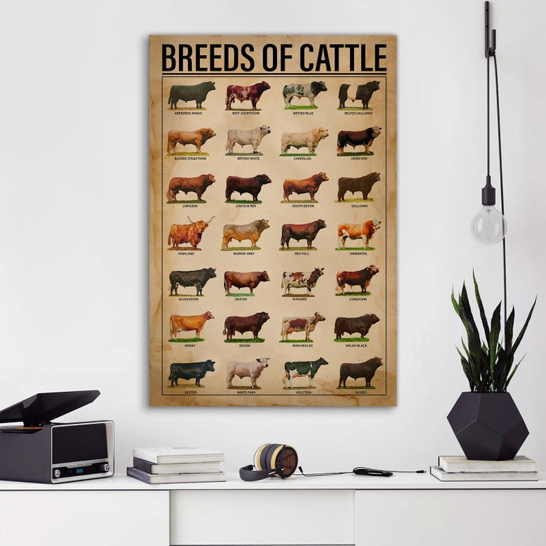 Breeds of Cattle Wall Art Poster Anniversary Birthday Christmas Housewarming Gift Home Poster ...