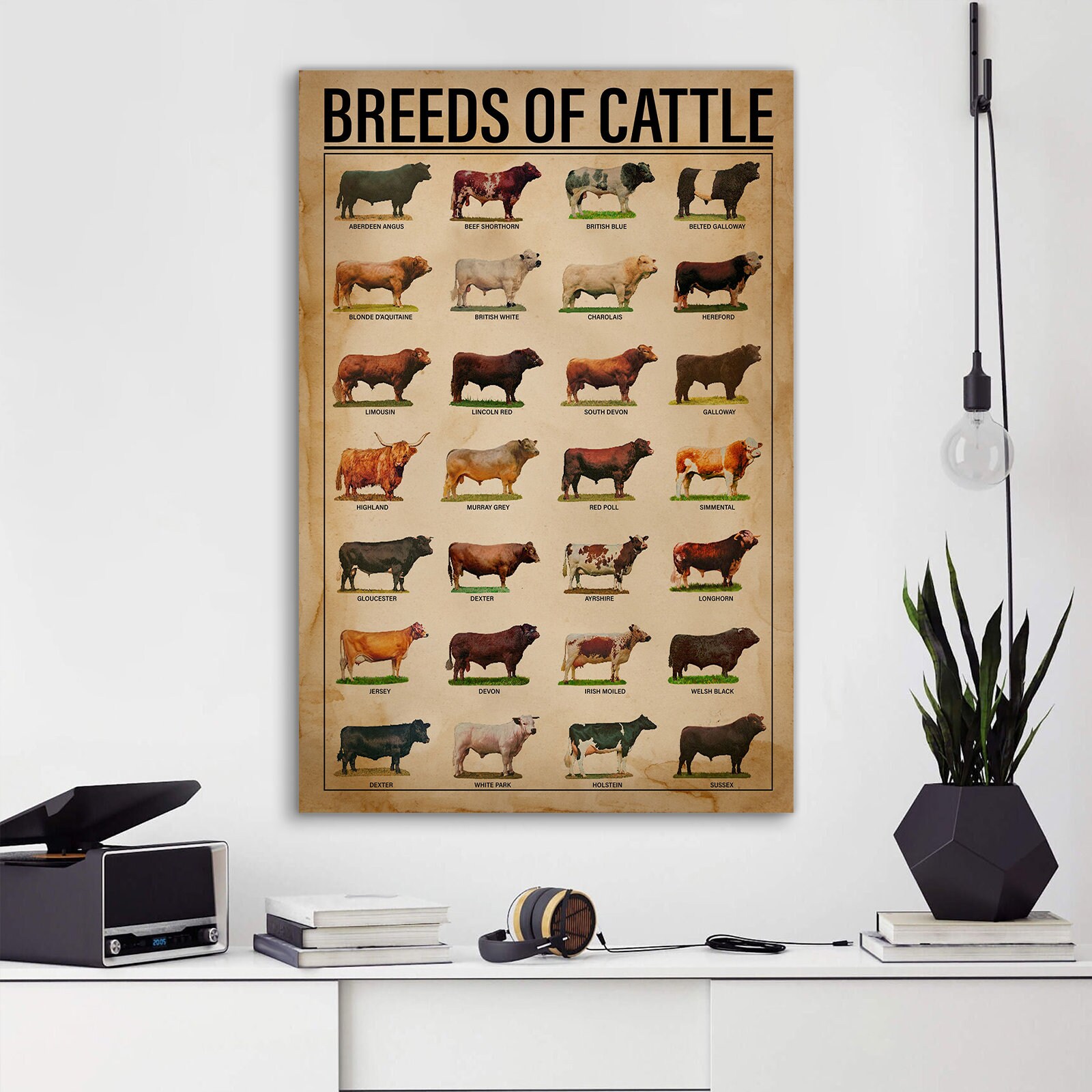Breeds of Cattle Wall Art Poster Anniversary Birthday Christmas ...