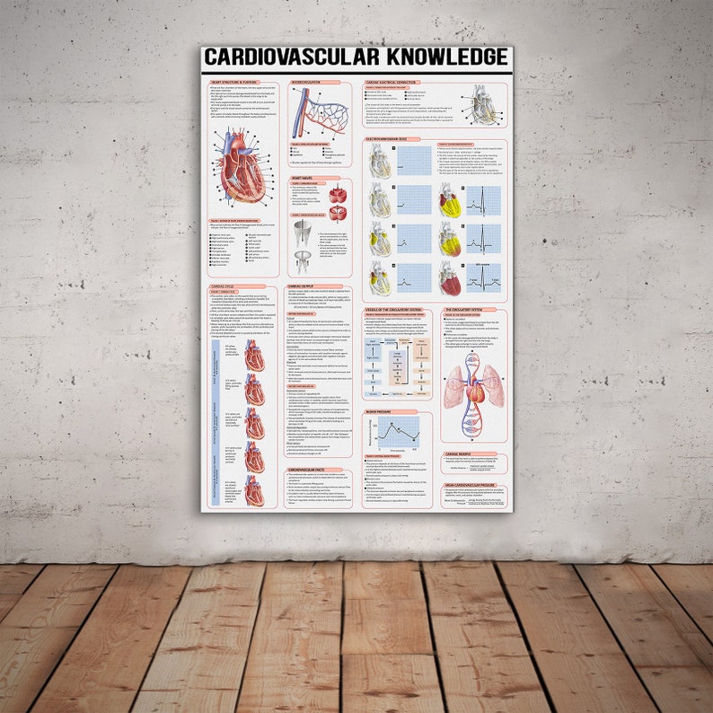 Cardiovascular Knowledge Poster Vintage Poster, Decor Wall, Knowledge ...
