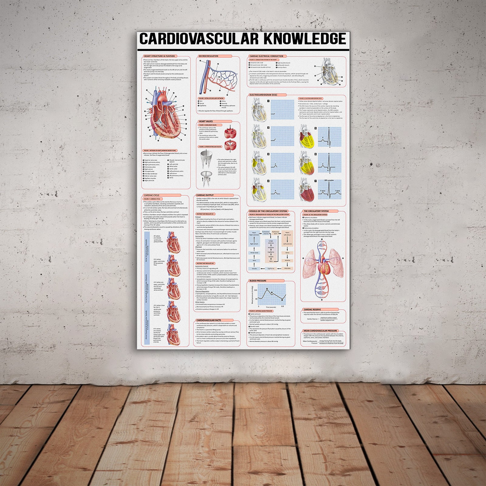 Cardiovascular Knowledge Poster Vintage Poster, Decor Wall, Knowledge ...