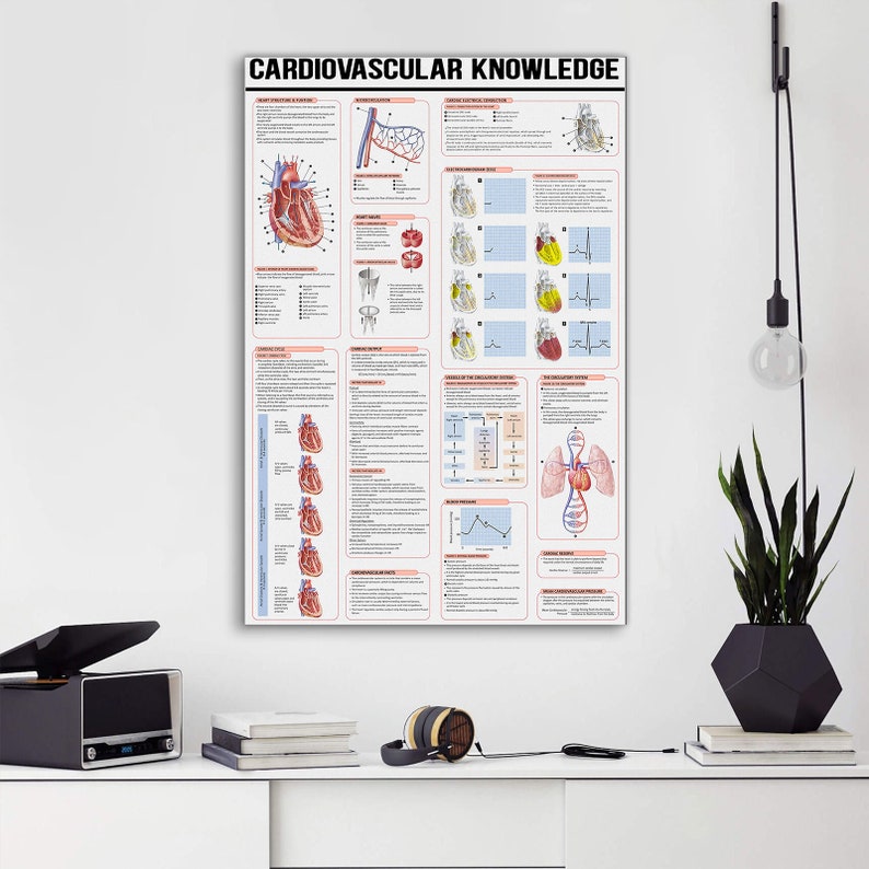 Cardiovascular Knowledge Poster Vintage Poster, Decor Wall, Knowledge ...