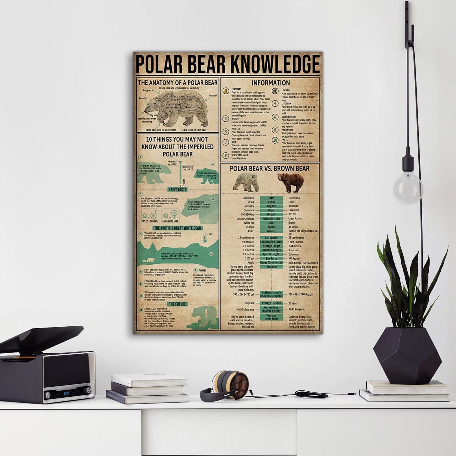 Polar Bear Knowledge Vertical Art Print Poster, Indoor Home Decoration ...