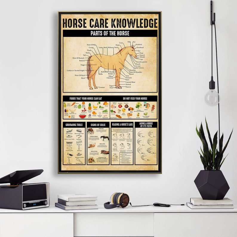 Horse Care Knowledge Poster, Horse Poster, Wall Art Home, Farm ...